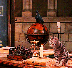 Dracula GIF - Find on GIFER