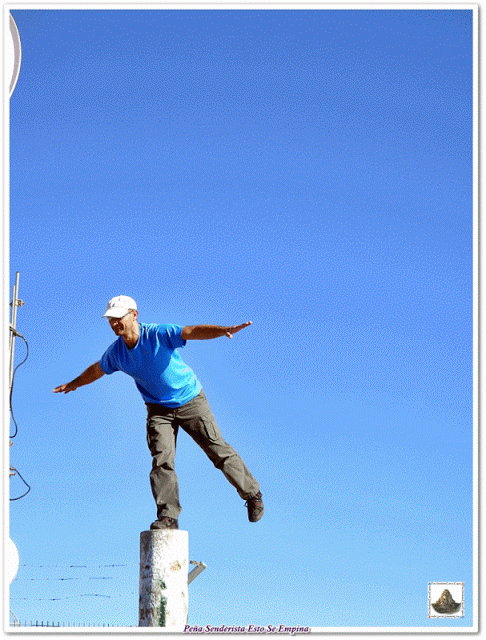 Vamos rafa GIF - Find on GIFER