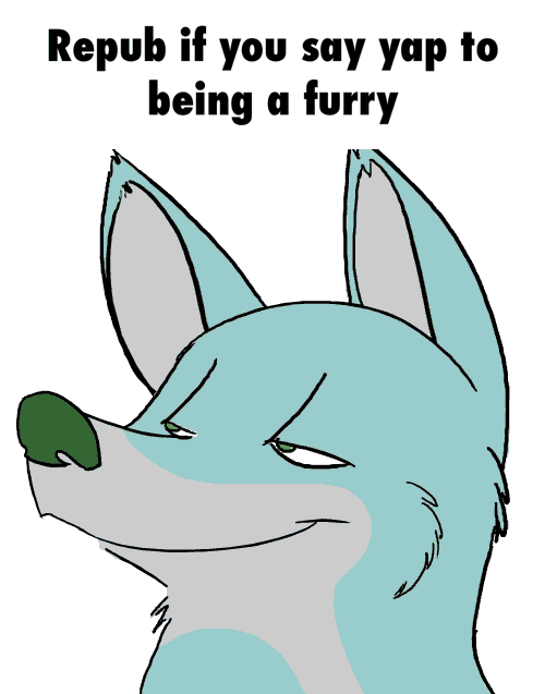Furry GIF - Find on GIFER
