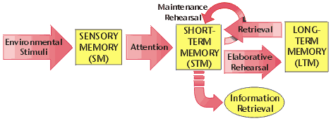 Memory GIF - Find on GIFER