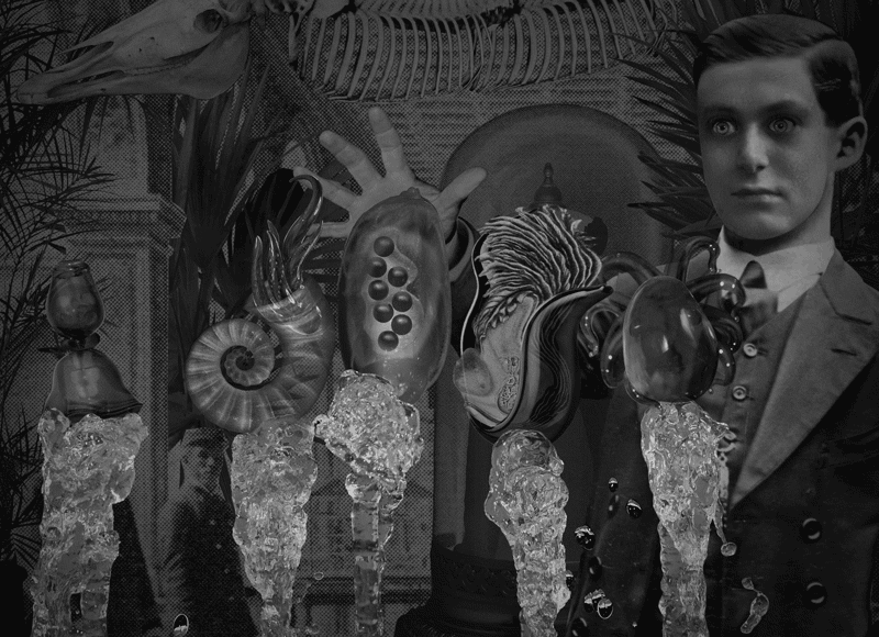 GIF colin raff zbags boyfriends - animated GIF on GIFER