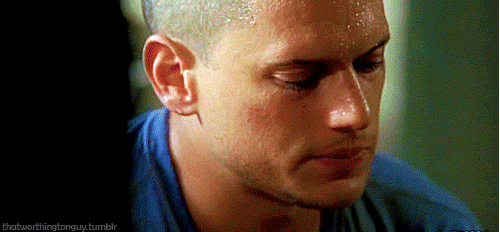 Prison break page season GIF - Find on GIFER