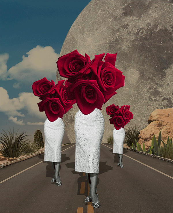 Collage surreal GIF - Find on GIFER