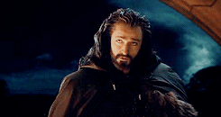 Thorin oakenshield GIF - Find on GIFER