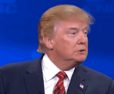 Debate GIF - Find on GIFER