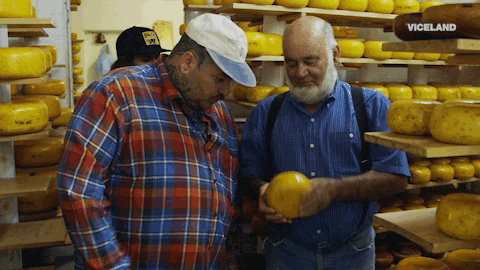 Dead set on life GIF - Find on GIFER