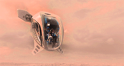 Bruises GIF - Find on GIFER