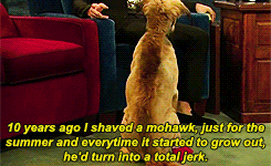 Ryan gosling dog GIF - Find on GIFER