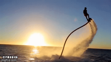 Aurora aurora aksnes GIF - Find on GIFER