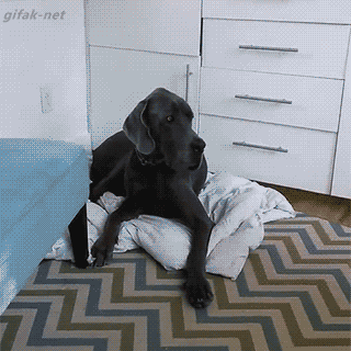 Praying prayer pray GIF - Find on GIFER