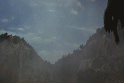 Gif De Meme De Dedo Medio Fu Untitled