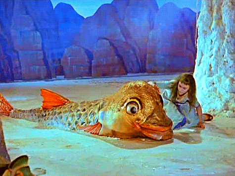 Psychedelic goldfish illusion GIF - Find on GIFER