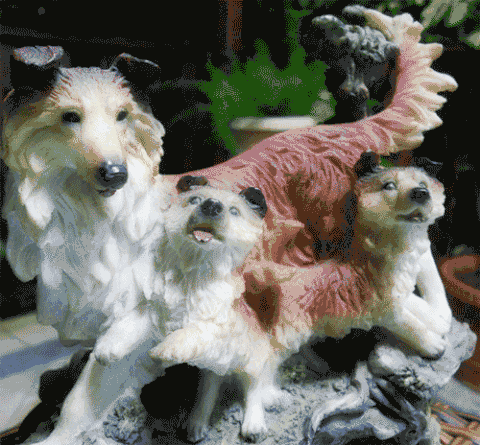 Wobble GIF - Find on GIFER