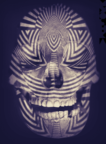 Skull GIF - Find on GIFER