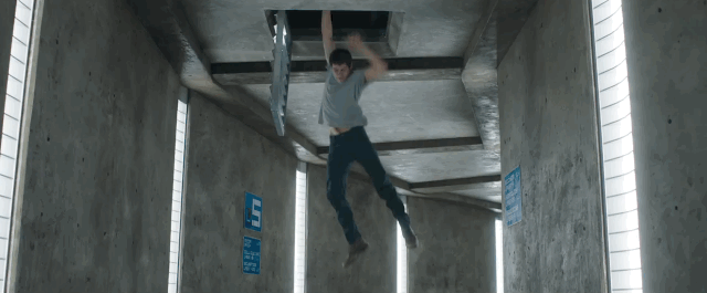 Maze runner GIF - Find on GIFER