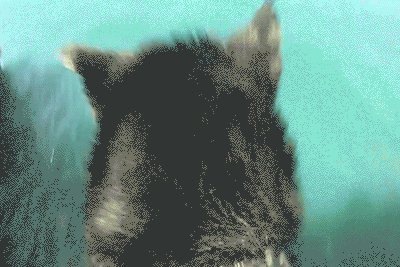 Gopro GIF - Find on GIFER