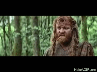 Braveheart GIF - Find on GIFER
