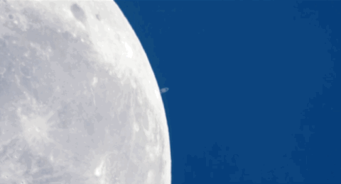 Melt GIF - Find on GIFER