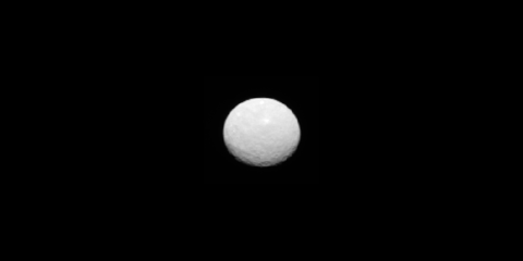 Snowball GIF - Find on GIFER
