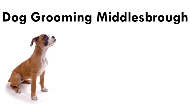 Grooming GIF - Find on GIFER