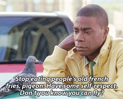 Movies 30 rock GIF on GIFER - by Memi