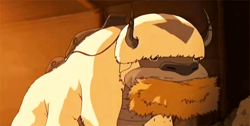 Bison GIF - Find on GIFER
