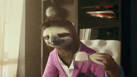 Sloths GIF - Find on GIFER