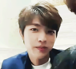 GIF marine le pen - animated GIF on GIFER