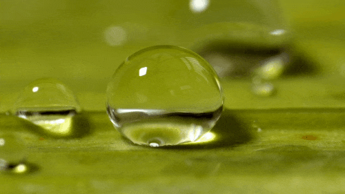 Droplet water satisfying GIF - Find on GIFER