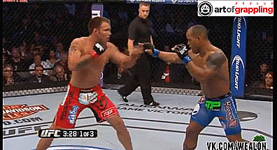 Ufc GIF - Find on GIFER