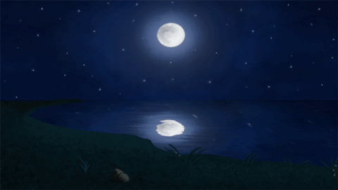 GIF shader - animated GIF on GIFER