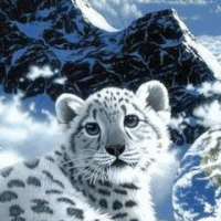 Cub GIF - Find on GIFER