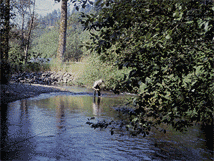 Seattle GIF - Find on GIFER