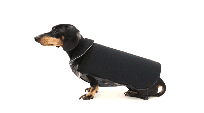 Toothpaste GIF - Find on GIFER