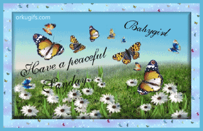 GIF peaceful - animated GIF on GIFER