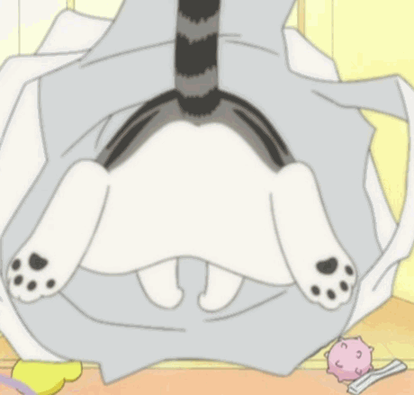 Chi GIF - Find on GIFER