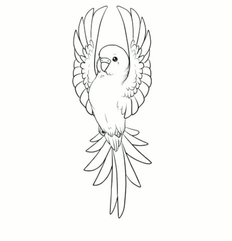 Coloring GIF - Find on GIFER