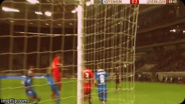 The t GIF - Find on GIFER