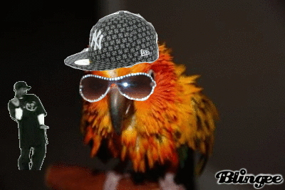 GIF rap - animated GIF on GIFER