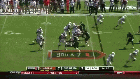 GIF miami official university - animated GIF on GIFER