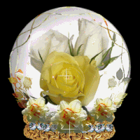 Mixed GIF - Find on GIFER