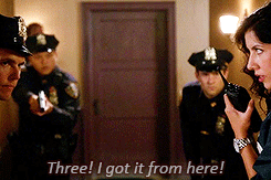 Brooklyn 99 GIF - Find on GIFER