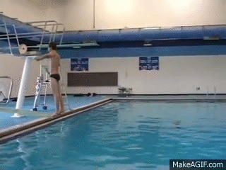Dive GIF - Find on GIFER