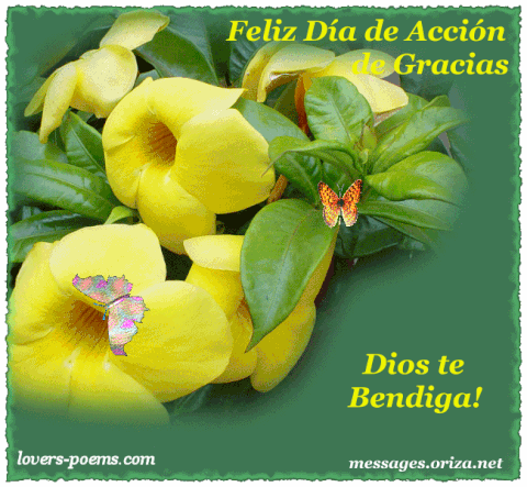 GIF gracias - animated GIF on GIFER