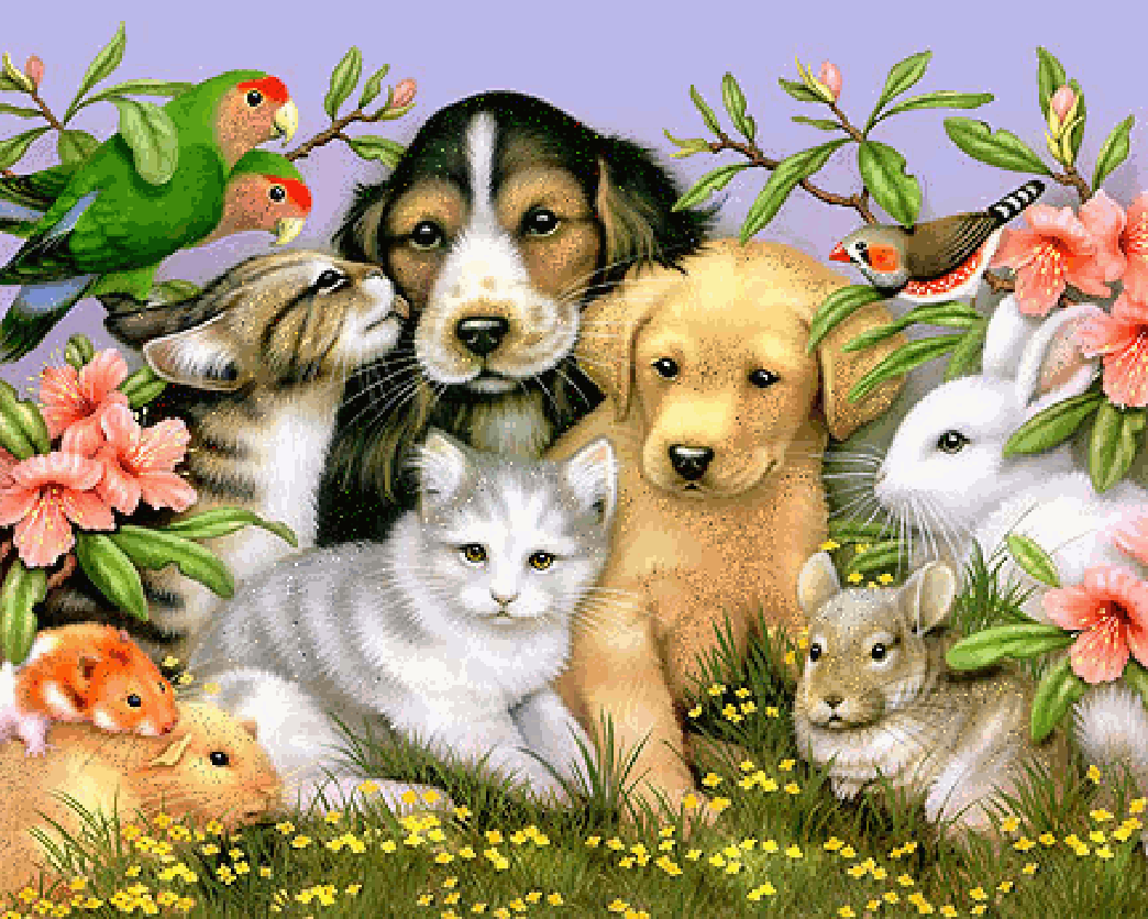 Pets GIF - Find on GIFER
