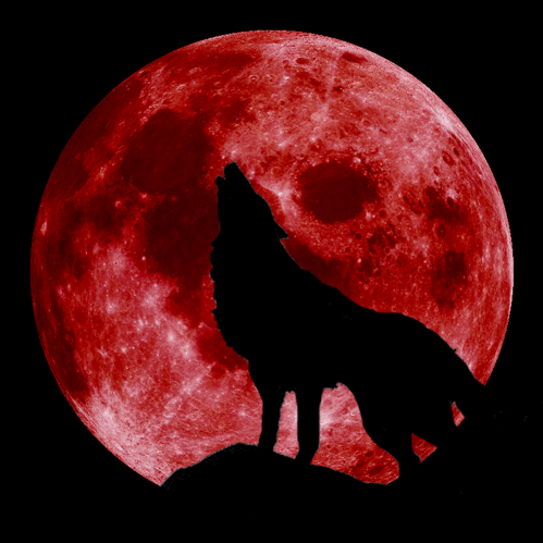 Supermoon GIF - Find on GIFER