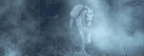 Fog foggy GIF - Find on GIFER