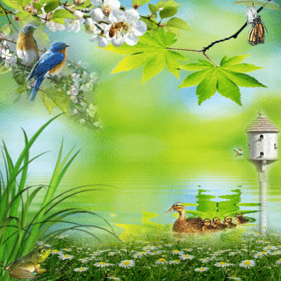 GIF pond - animated GIF on GIFER