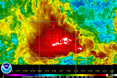 Tropical GIF - Find on GIFER