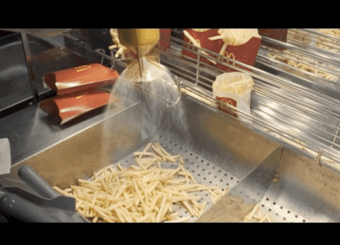 French fries GIF on GIFER - by Saithilanim